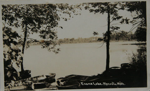 Counties - Mecosta - Big Evans Lake
