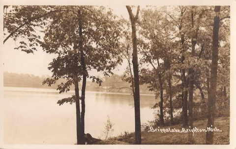 Counties - Livingston - Briggs Lake
